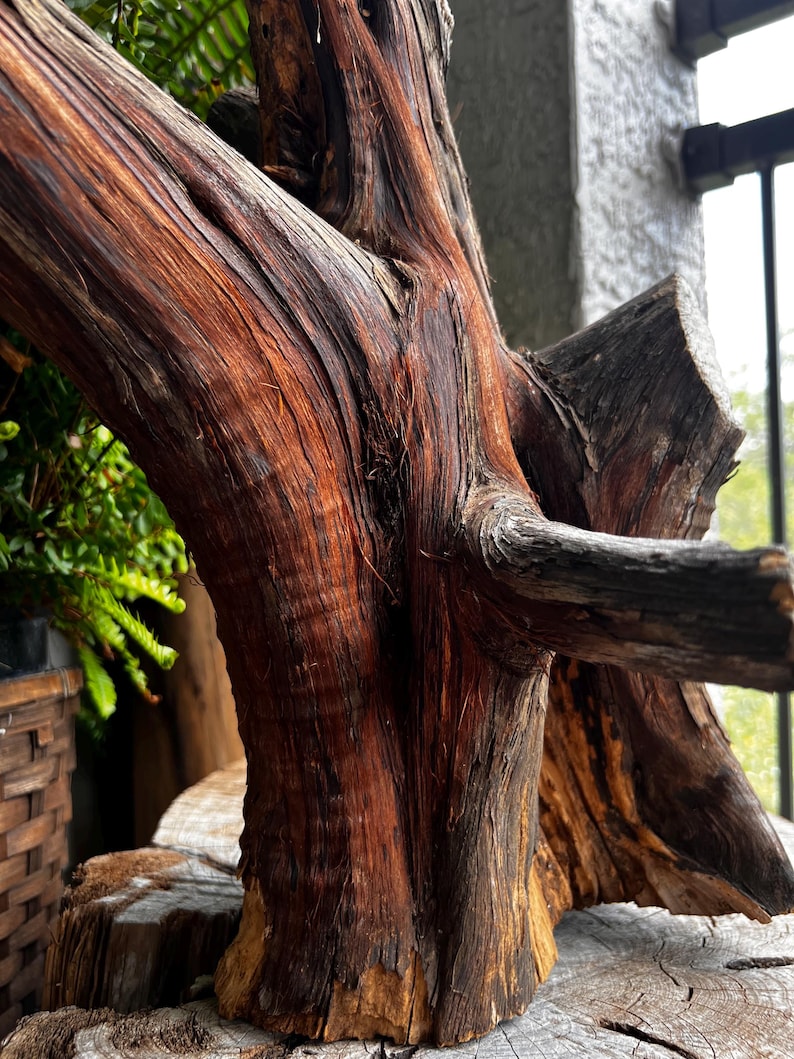 Real Wood Tree Stump (cedar) - Etsy