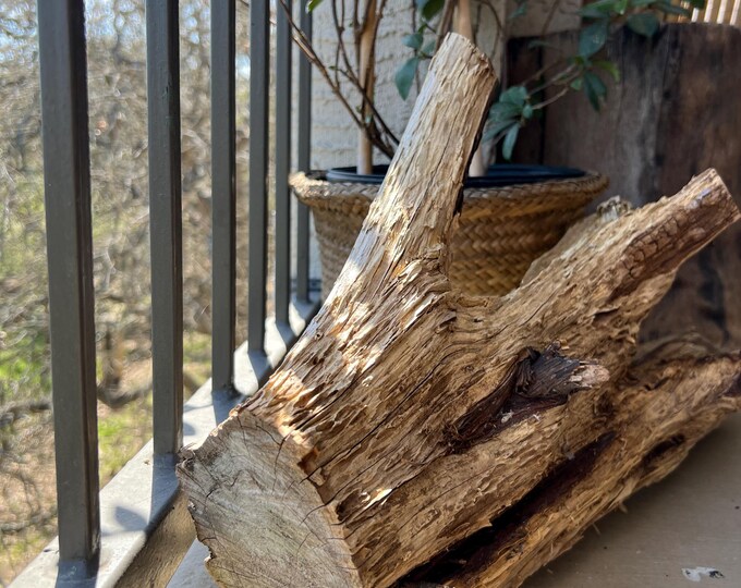 Real Wood Tree Stump (cedar) - Etsy