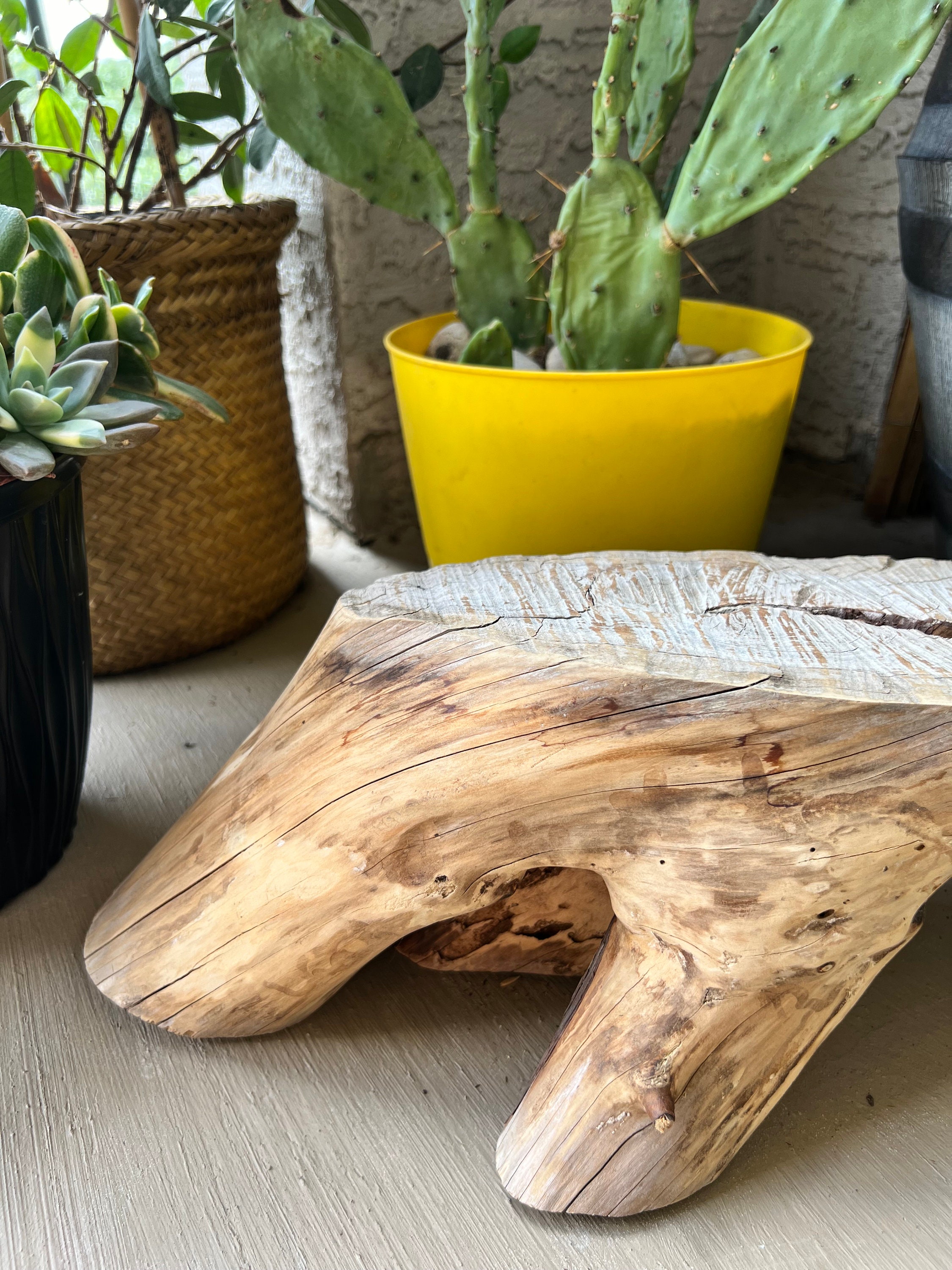 Real Wood Tree Stump (cedar) - Etsy