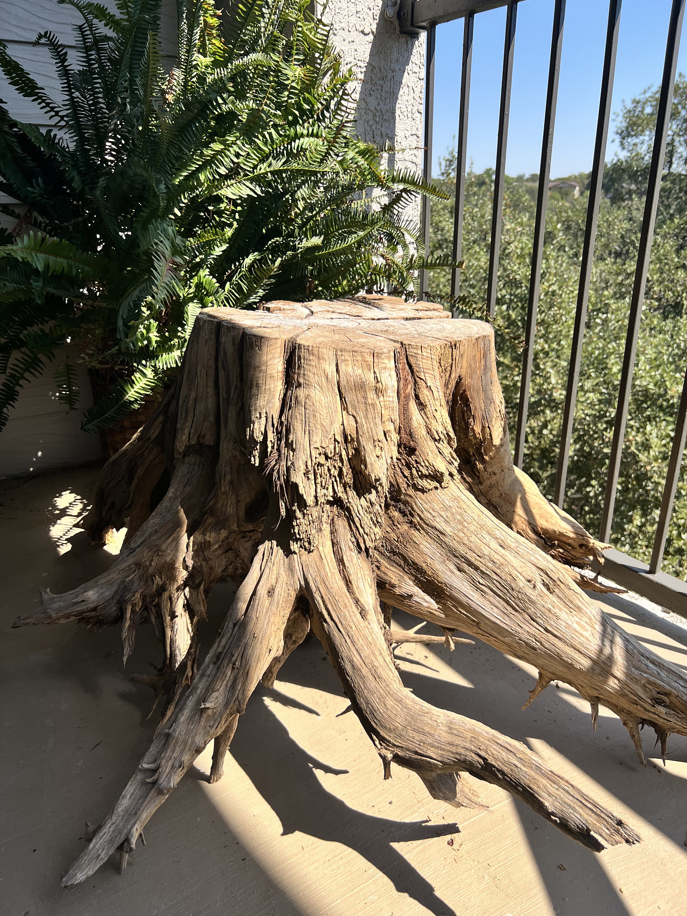 Real Wood Tree Stump (cedar) With Exposed Roots - Etsy