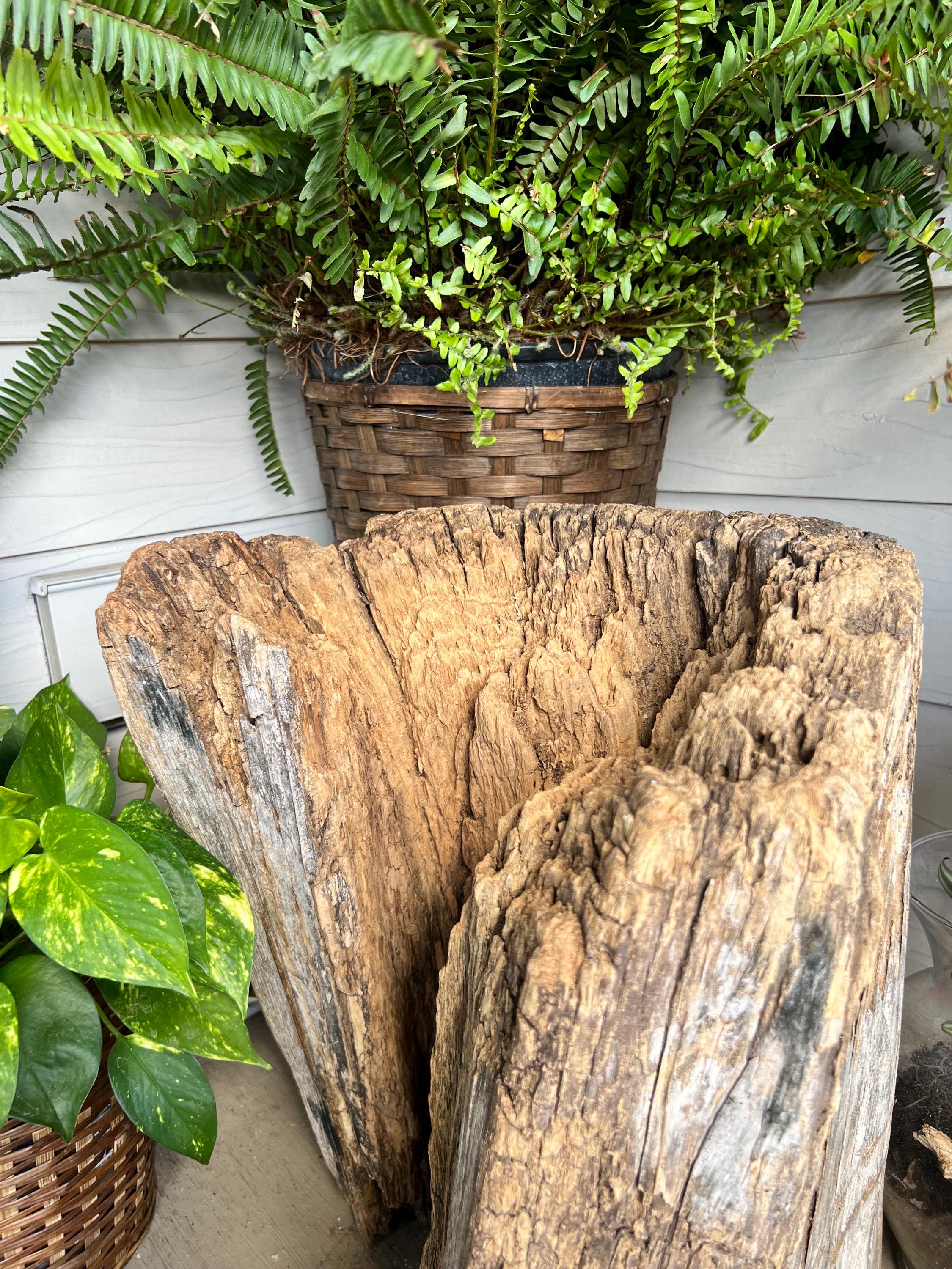 Real Wood Tree Stump (cedar) - Etsy