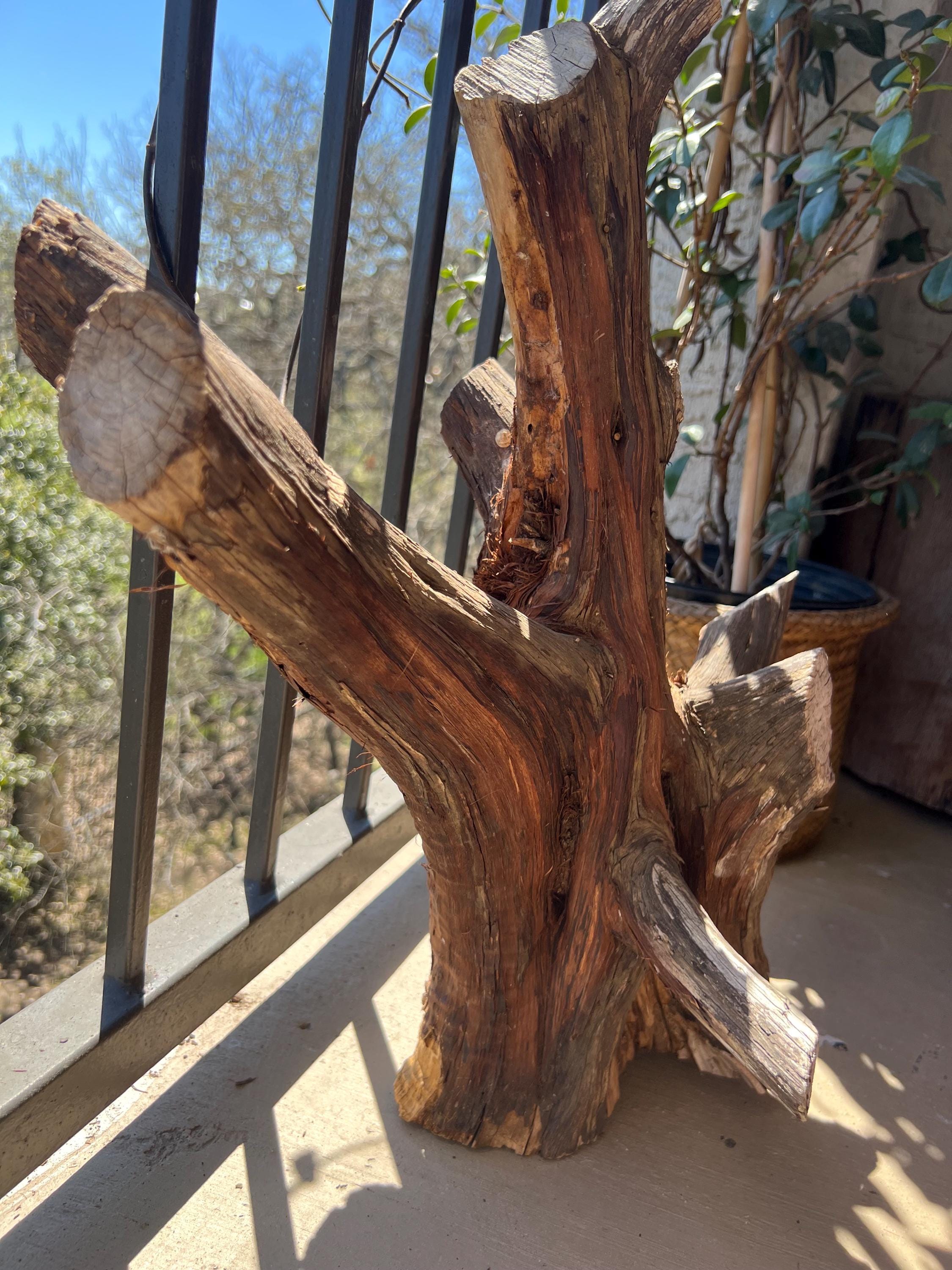 Real Wood Tree Stump (cedar) - Etsy
