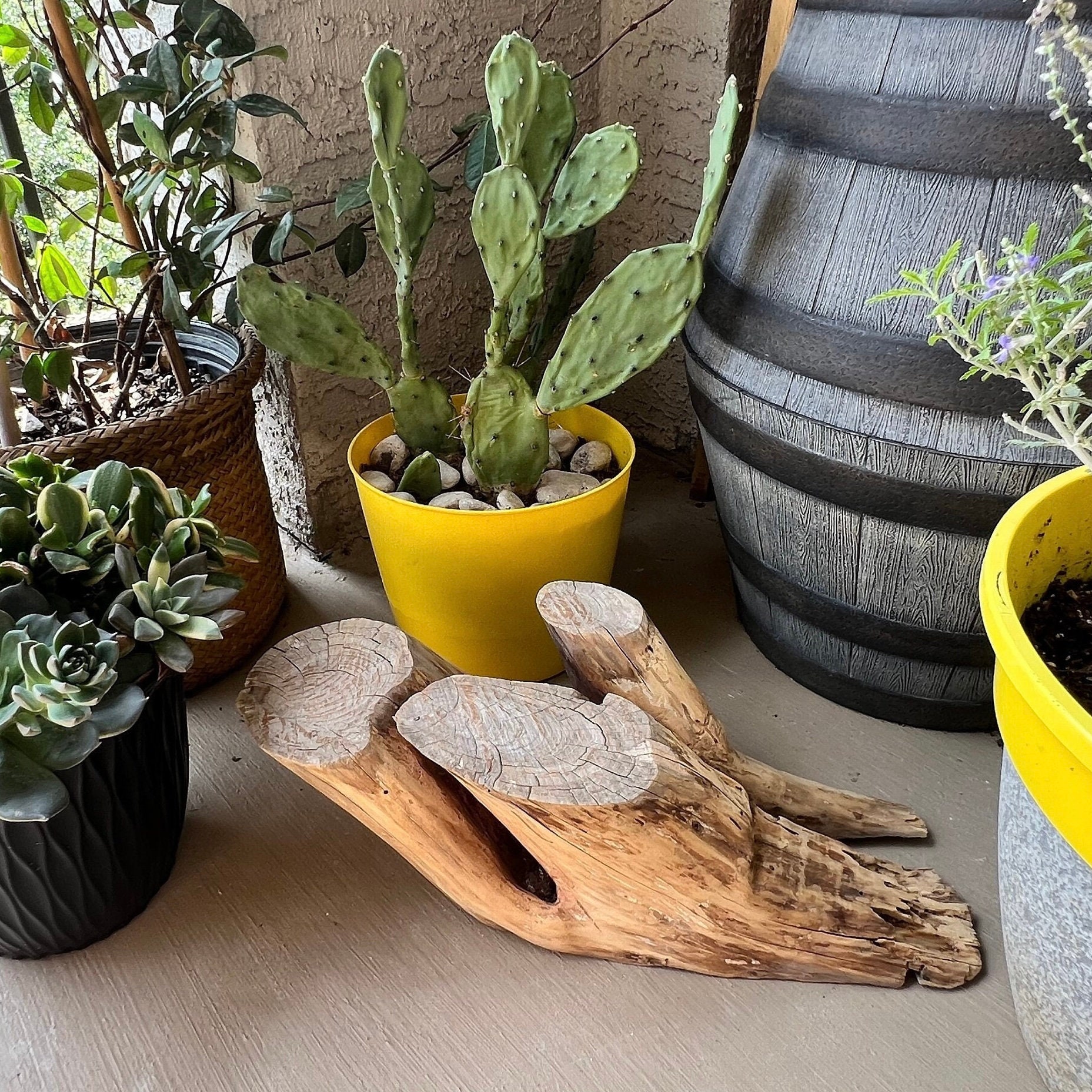 Rustic Wood Centerpieces for Tables, Cedar Log Cake Stand, Country ...