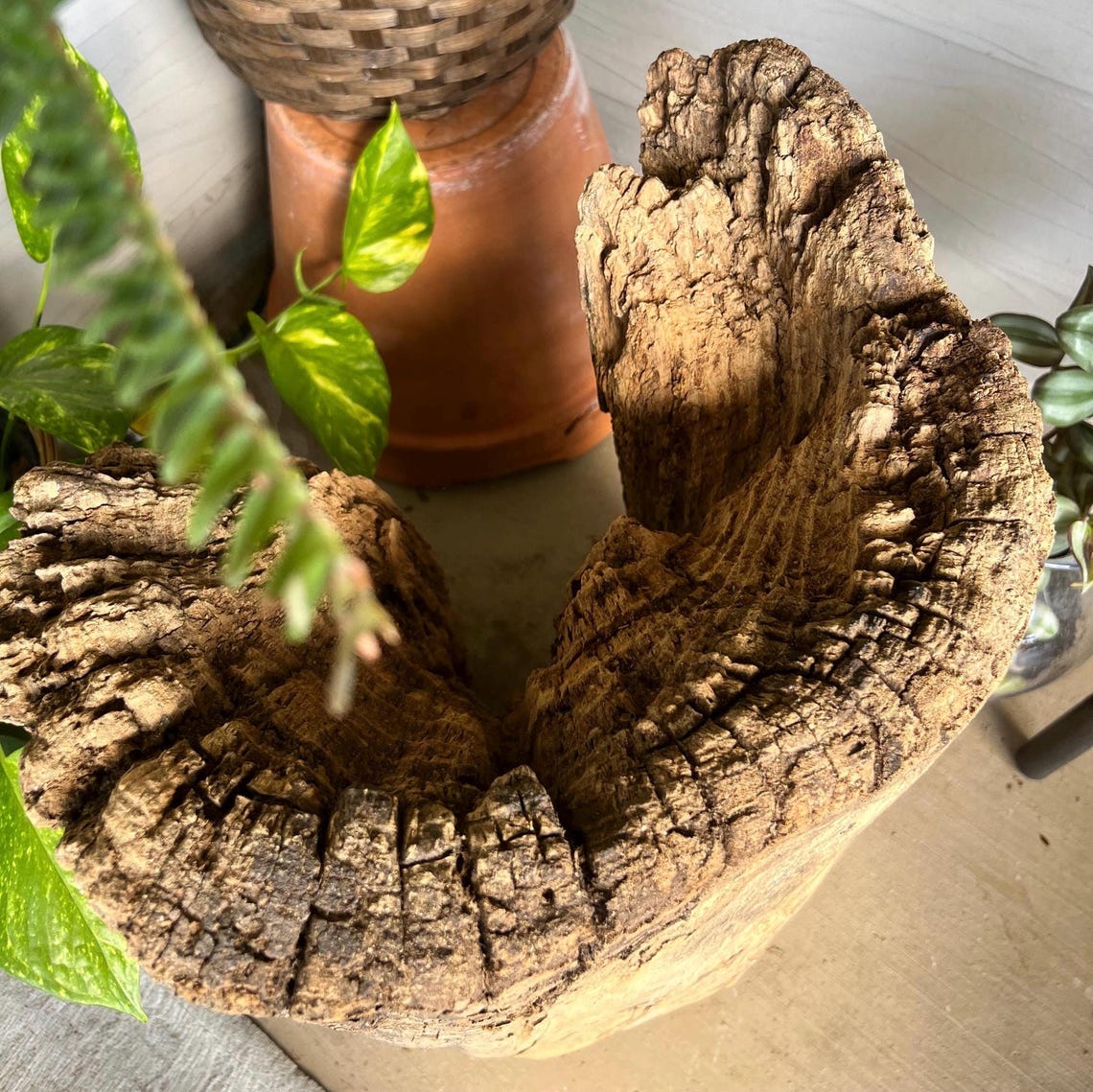 Real Wood Tree Stump (cedar) - Etsy