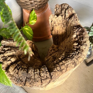 Real Wood Tree Stump (cedar) - Etsy