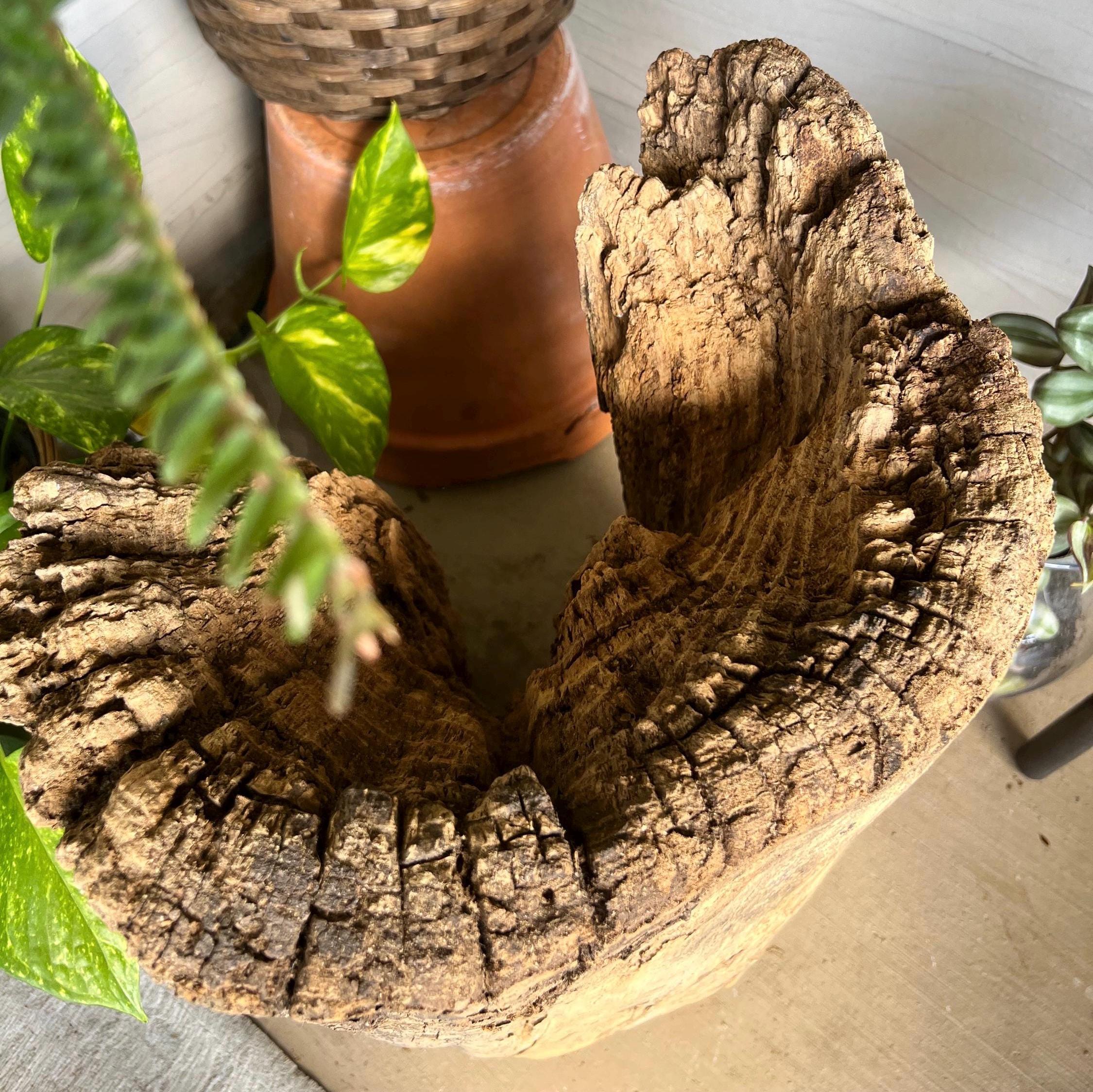 Real Wood Tree Stump (cedar) - Etsy