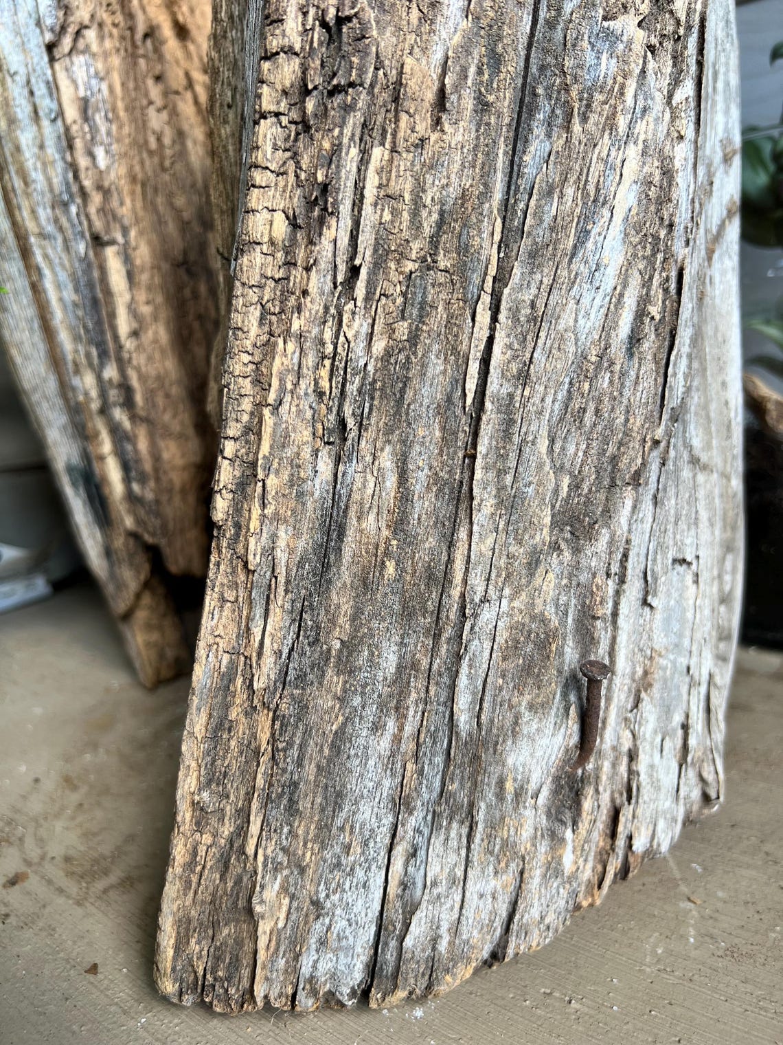 Real Wood Tree Stump (cedar) - Etsy