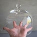 Glass Cover, Glass Cover for Cheese, Glass Cover for Cakes, Glass Cover ...