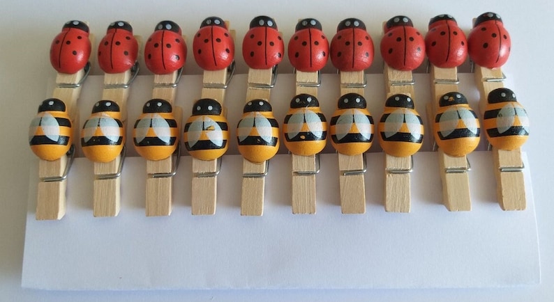 20 Wooden Mini Pegs, 10 Bees, 10 Ladybird, Peg Size 35mm - Etsy