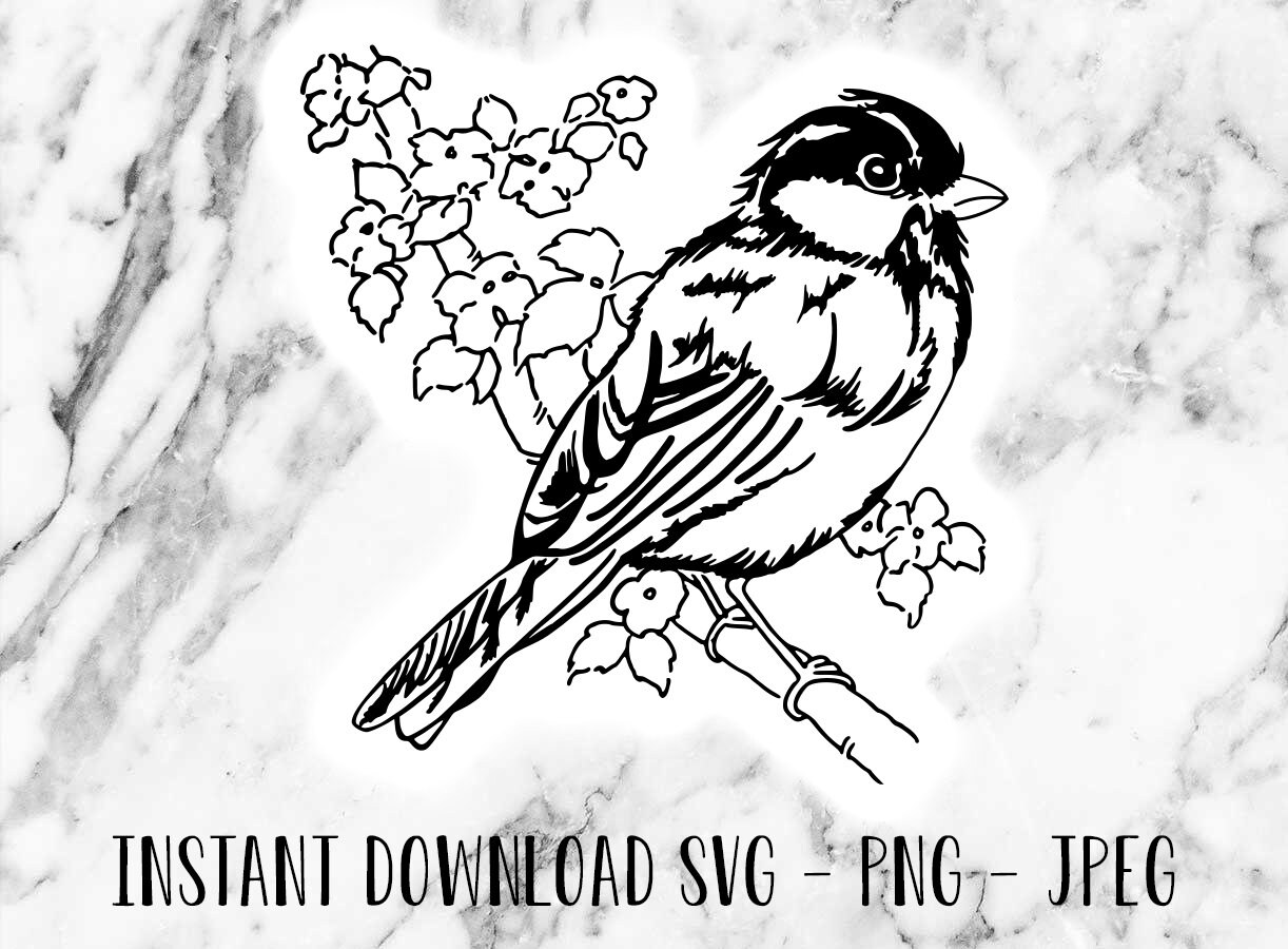 Bird on Branch Cut File Digital Download SVG Cricut | Etsy