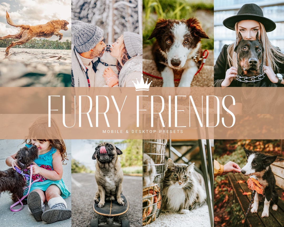 10 FURRY FRIENDS Mobile & Desktop Lightroom Presets for Pet Photography ...