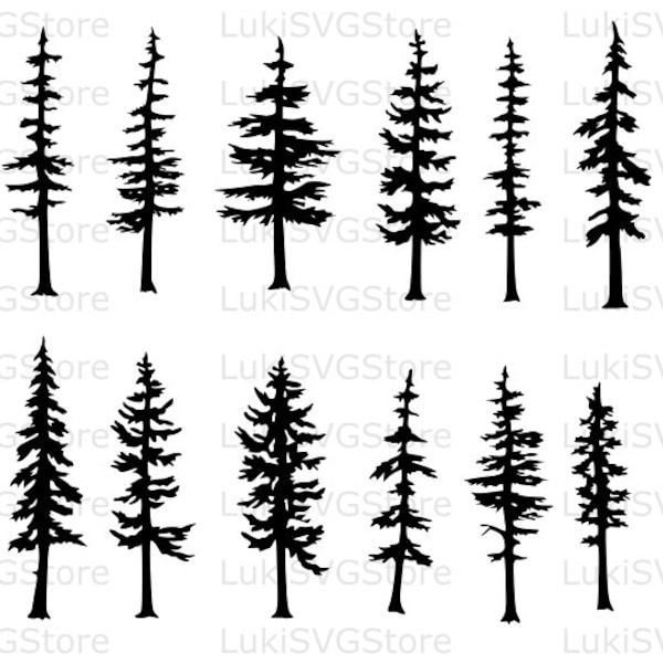 Evergreen Tree - Etsy