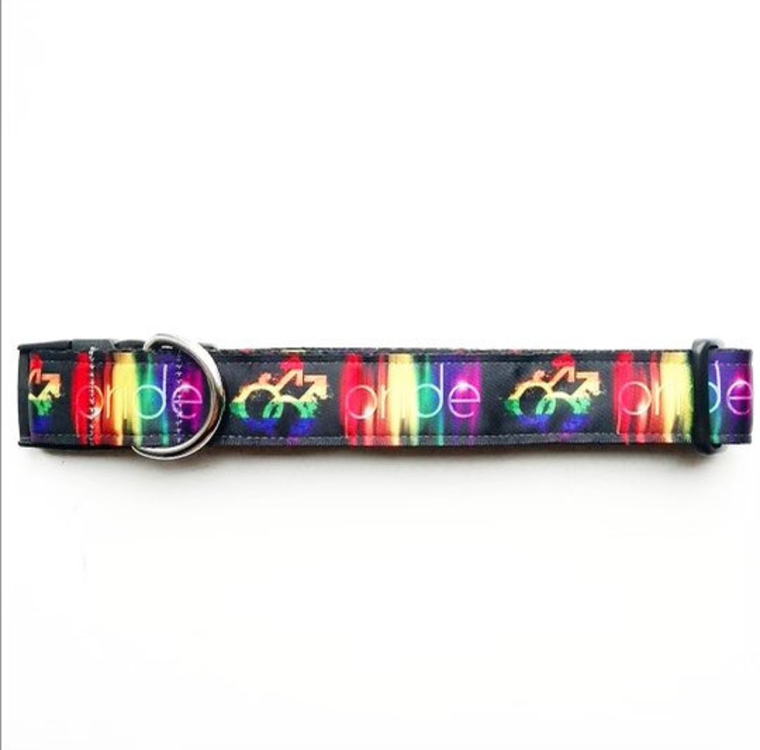 Rock Band Dog Collar Pop Dog Collar Music Movie Halloween - Etsy New ...
