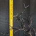 Black Tree Perfect for Halloween & Christmas Decorations - Etsy