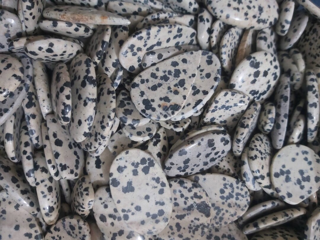 Natural Dalmation Jasper Cabochon Lot, Jasper Loose Cabochon Gemstone ...