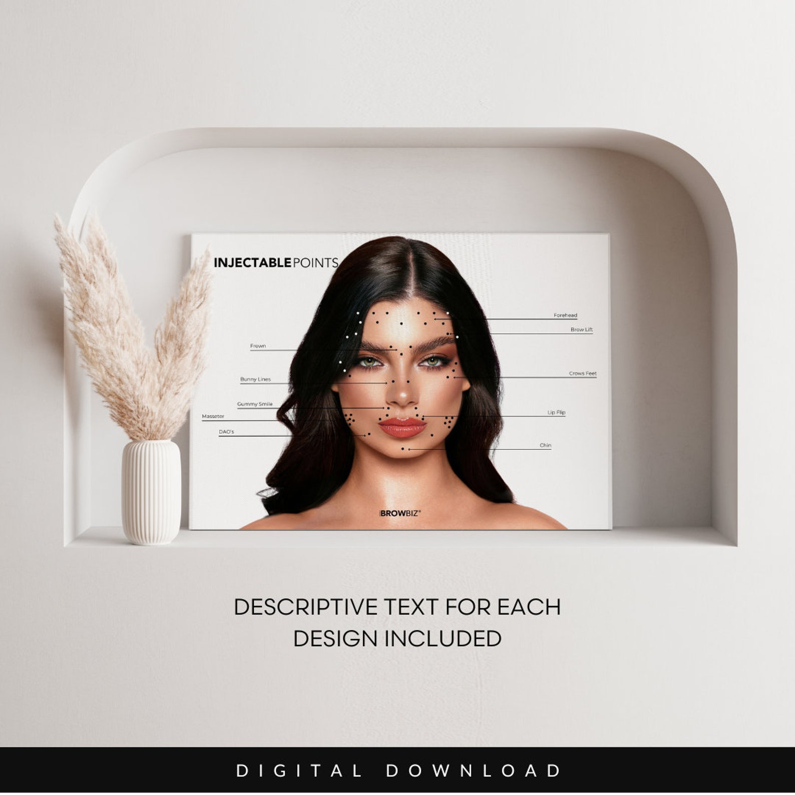 OHMYBROW BIZ® Facial Anatomy Charts Overlays for Estheticians ...