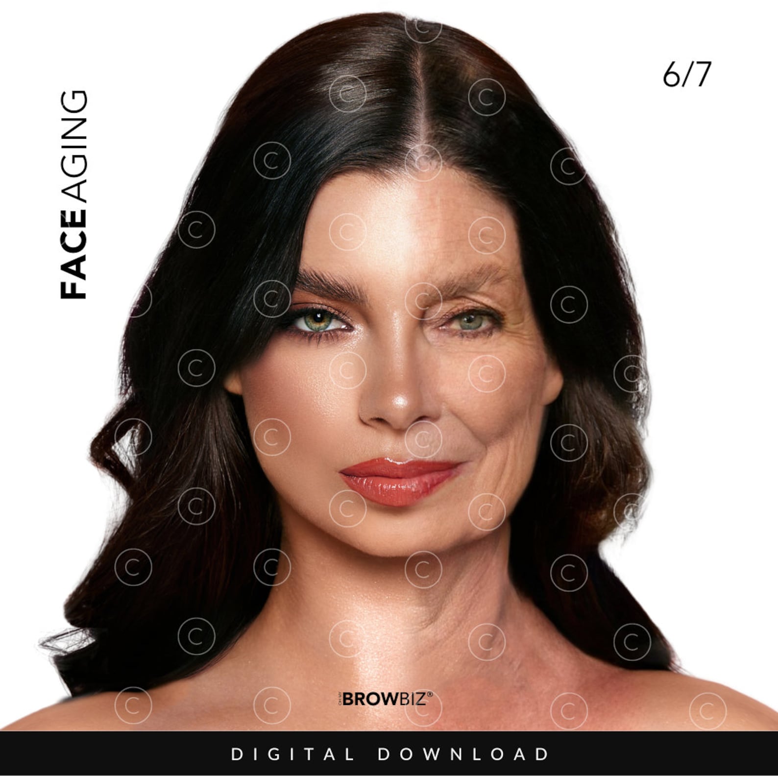 OHMYBROW BIZ® Facial Anatomy Charts Overlays for Estheticians ...