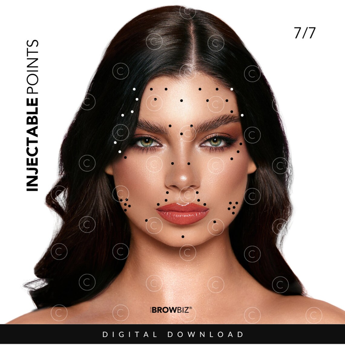 OHMYBROW BIZ® Facial Anatomy Charts Overlays for Estheticians ...