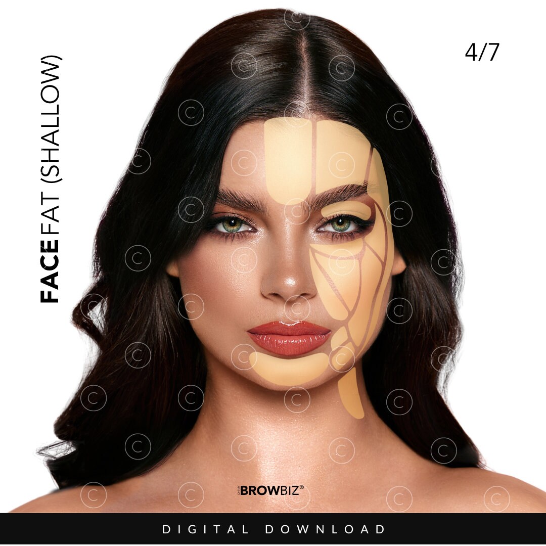 OHMYBROW BIZ® Facial Anatomy Charts Overlays for Estheticians ...