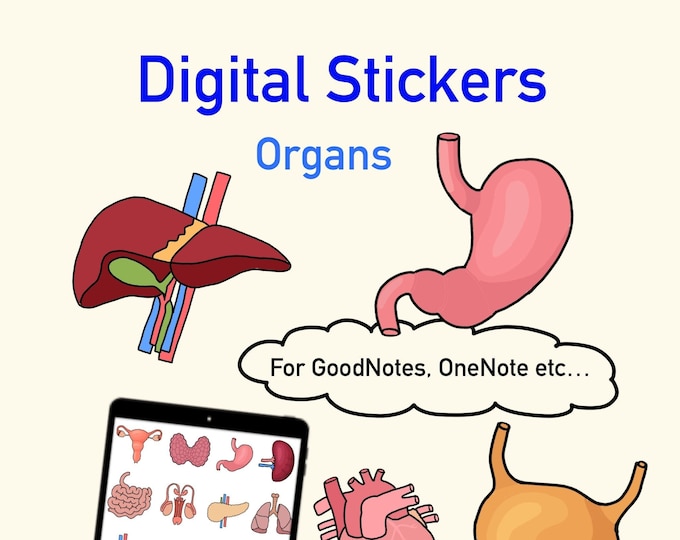 Digital Stickers Human Organs / Anatomy Stickers / PNG File - Etsy