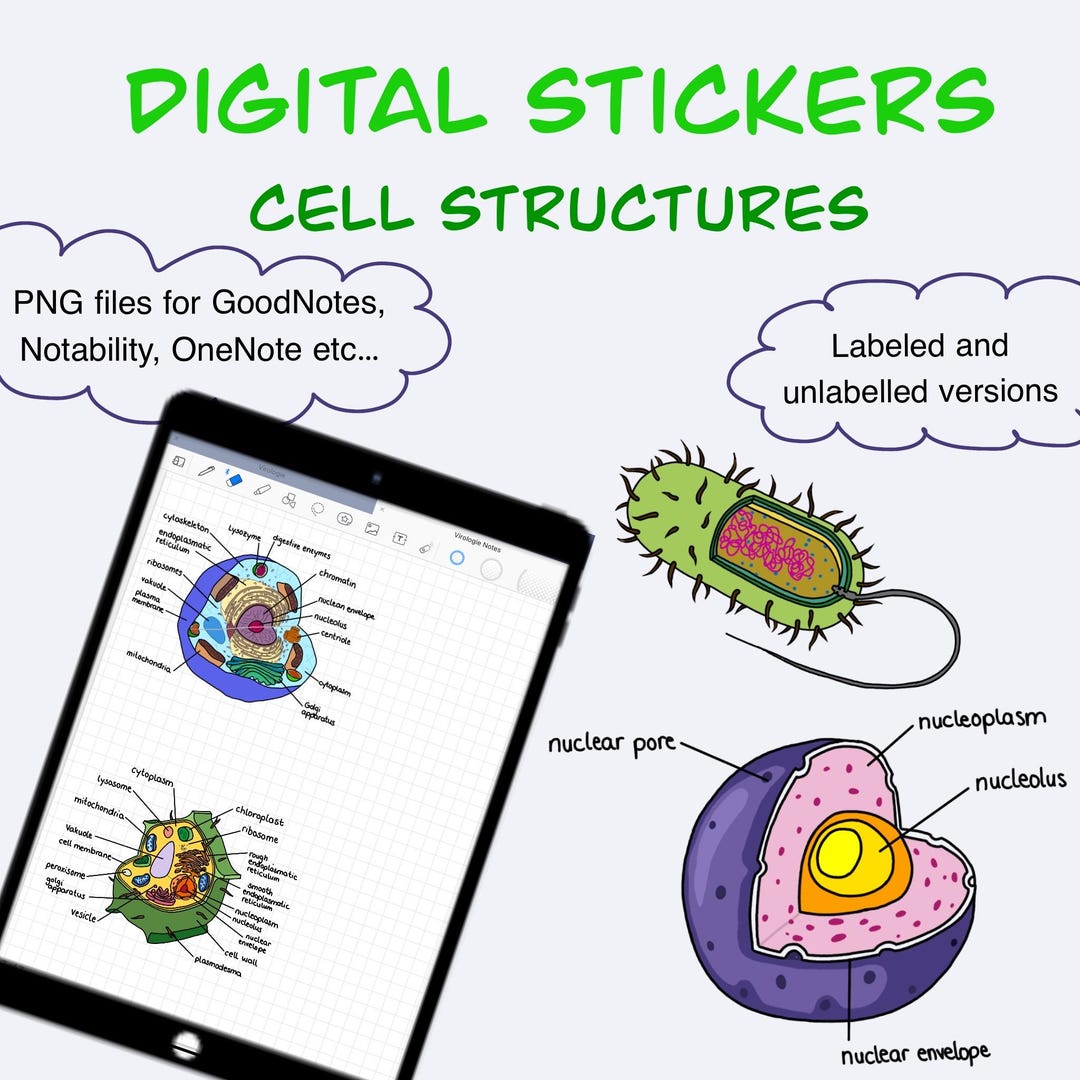 Cell Structures Digital Stickers / Medical and Biology Sticker / PNG ...