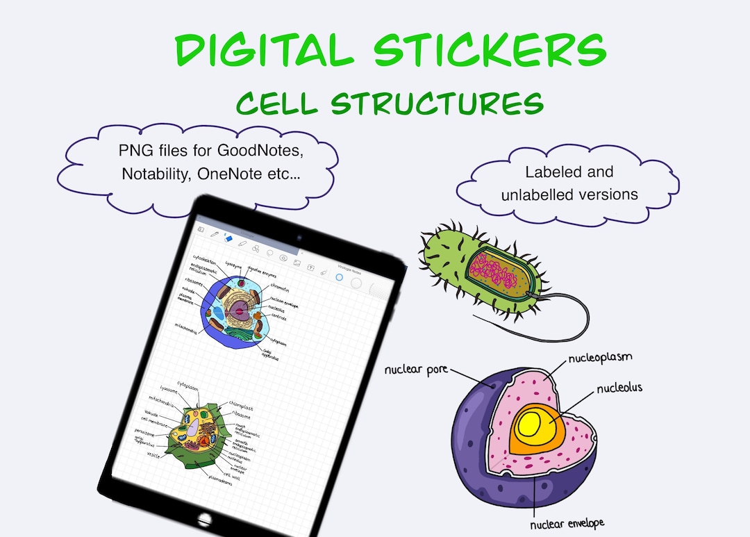 Biology Cell Structures Digital Stickerpack / Handdrawn Digital ...