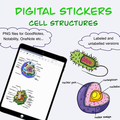 Cell Biology Digital Stickers Diagrams Headings Ipad - Etsy