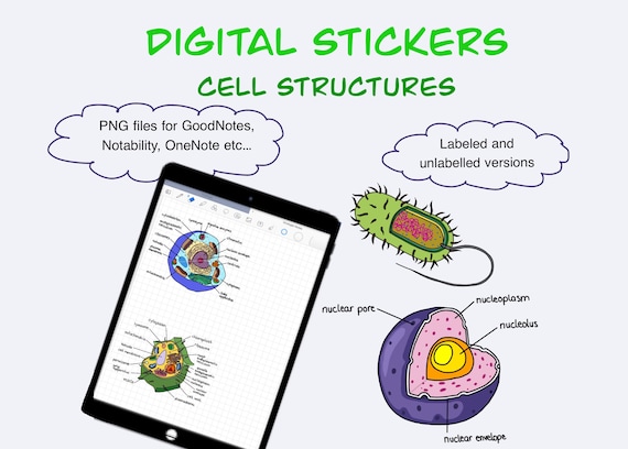 Biology Cell Structures Digital Stickerpack / Handdrawn - Etsy