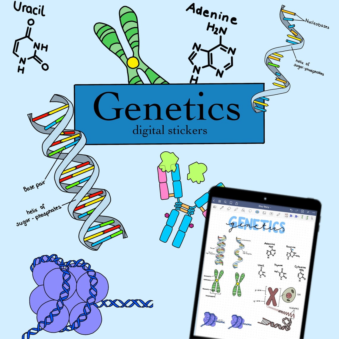 Genetics Digital Sticker Pack / Biology Stickers for Goodnotes ...