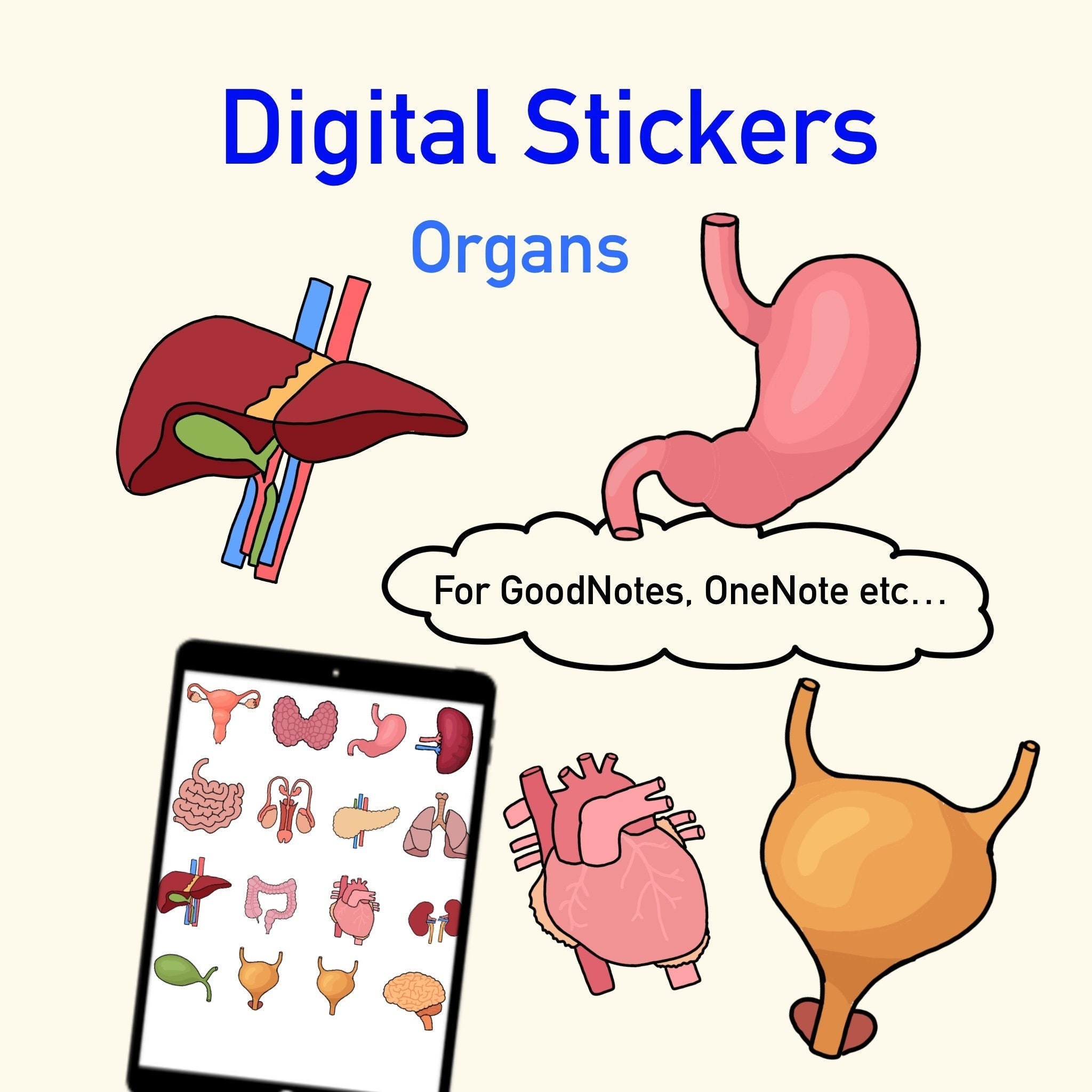 Digital Stickers Human Organs / Anatomy Stickers / PNG File for Digital ...