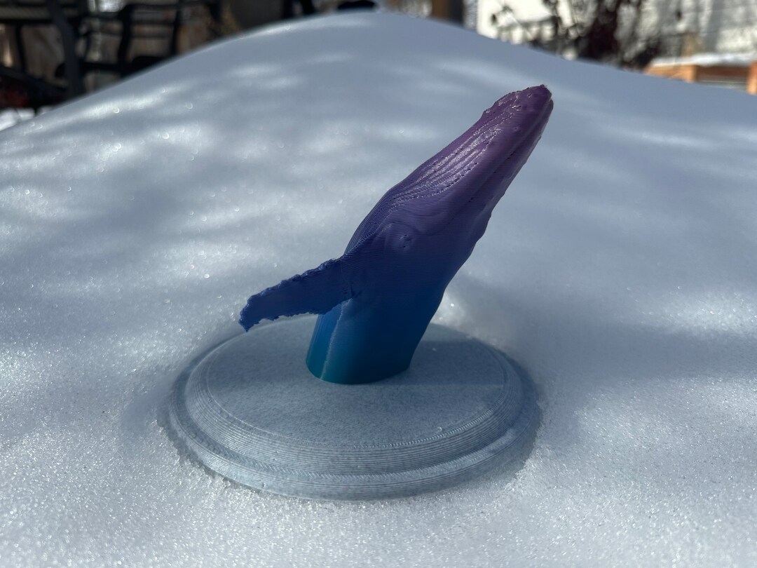 Utah Whale 3D Statue Artwork - Great Salt Lake Whale, Utah - Etsy