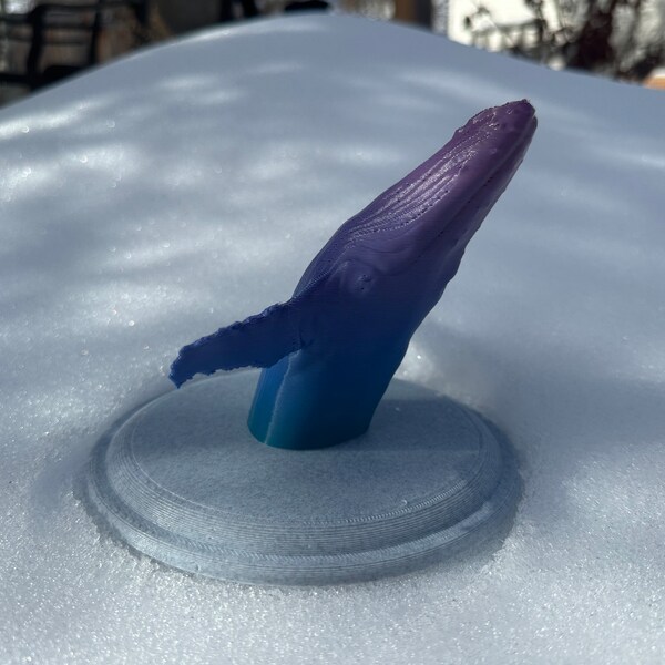 9th and 9th Whale - Etsy