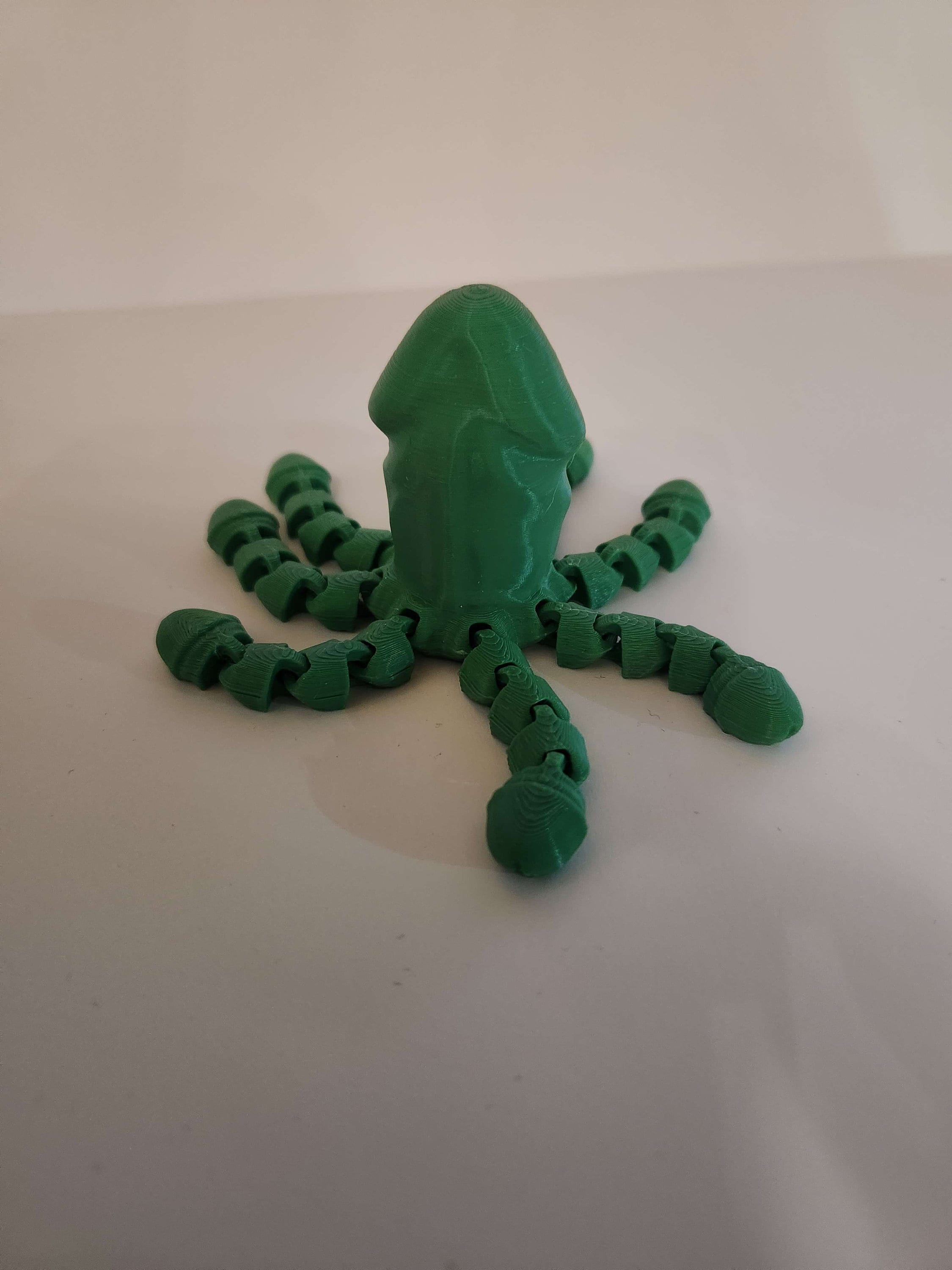 Meme Gift Printed Cocktopus Gifts: Offensive and Funny Home Decor for ...