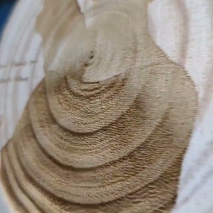 Personalised Custom Made Wood Tree Trunk Engraving Plaque Stand Photo ...