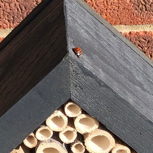 Bug Hotel Bug House Bug Box Bee House Bee Hotel Bee Box - Etsy