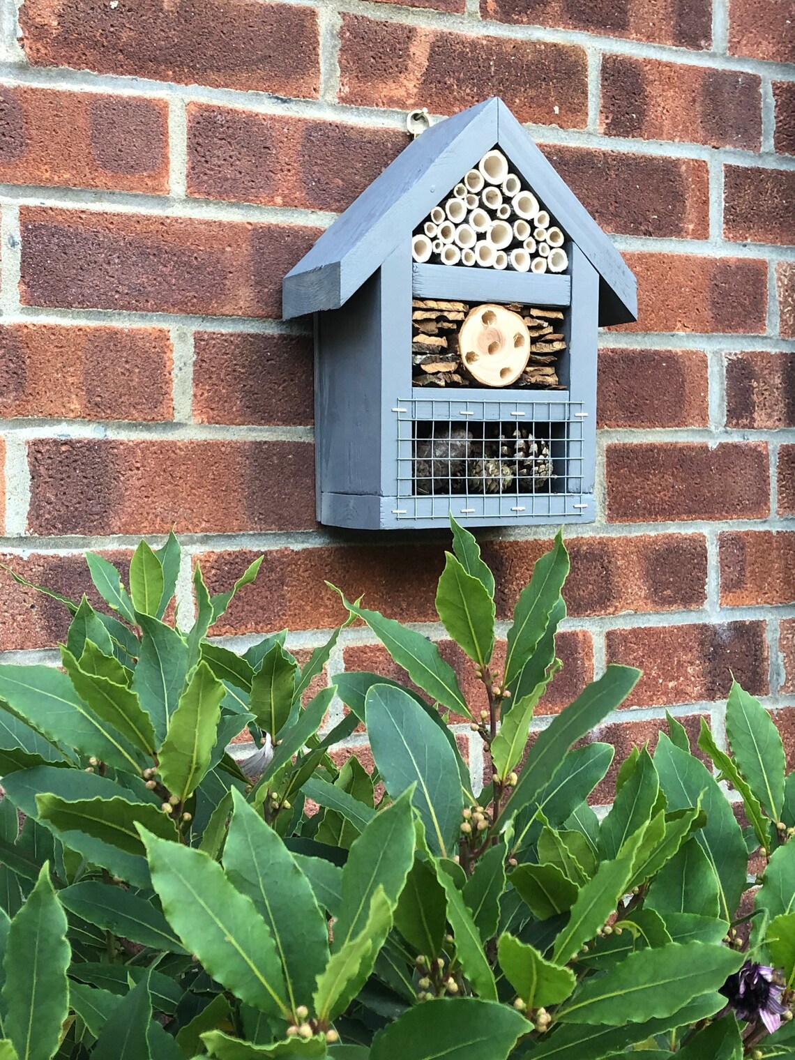 Bug Hotel Bug House Bug Box Bee House Bee Hotel Bee Box - Etsy