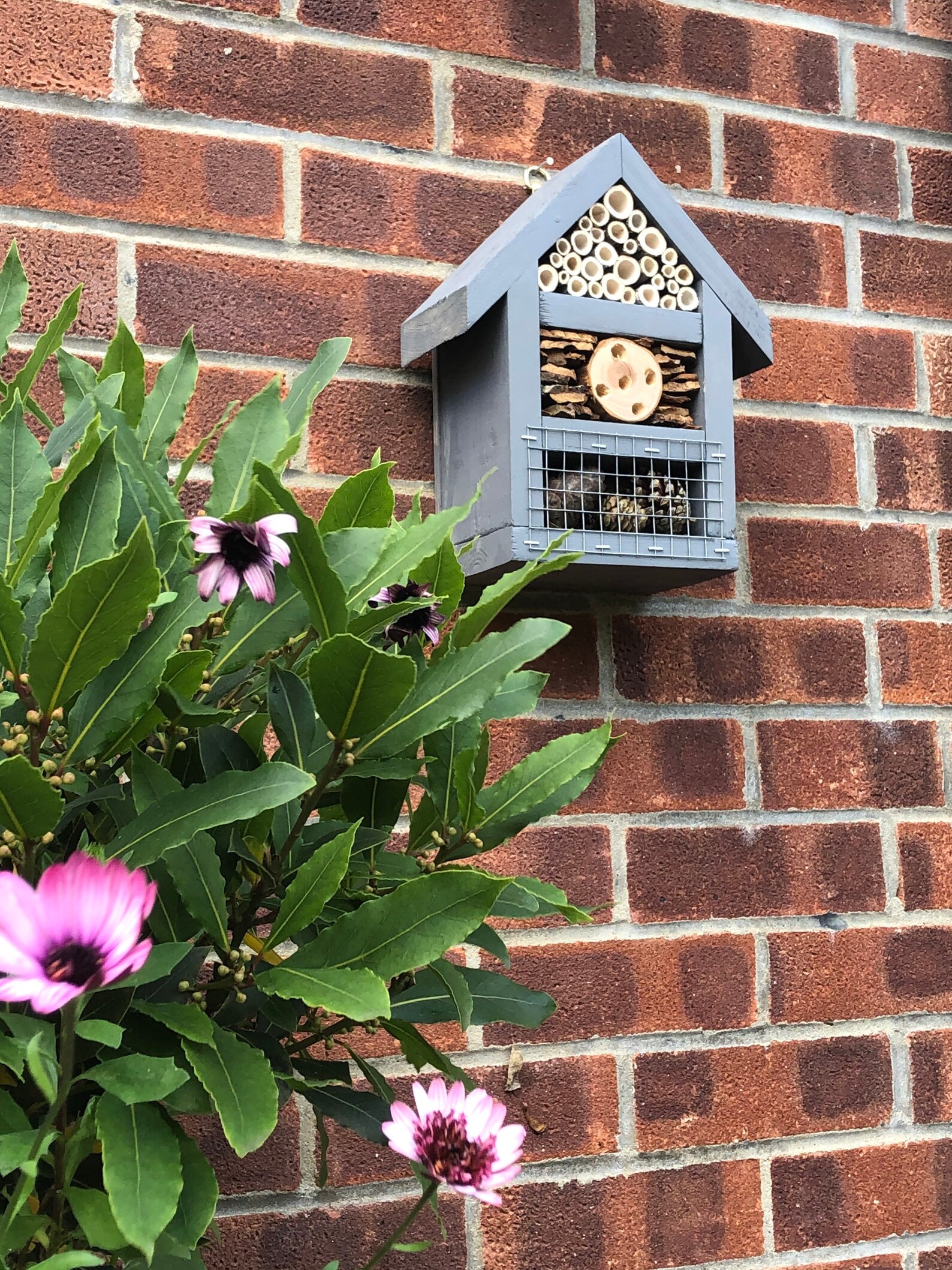 Bug Hotel Bug House Bug Box Bee House Bee Hotel Bee Box - Etsy
