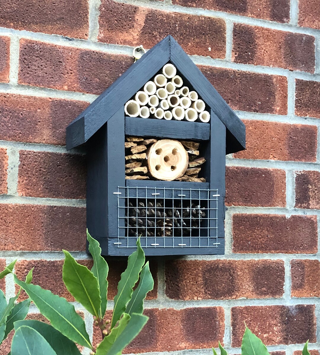 Bug Hotel Bug House Bug Box Bee House Bee Hotel Bee Box - Etsy