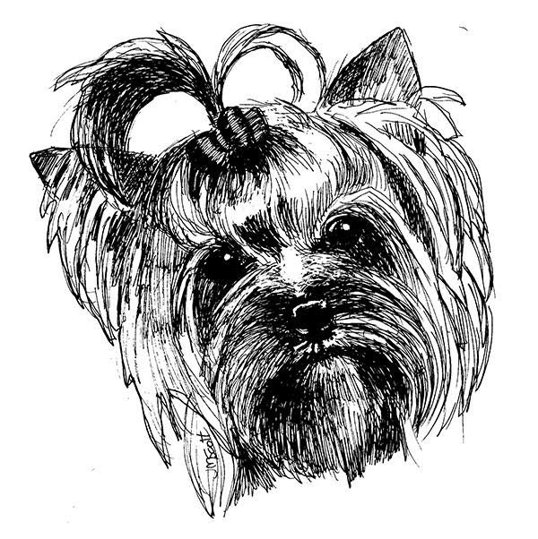 Custom Ink Portraits - Etsy