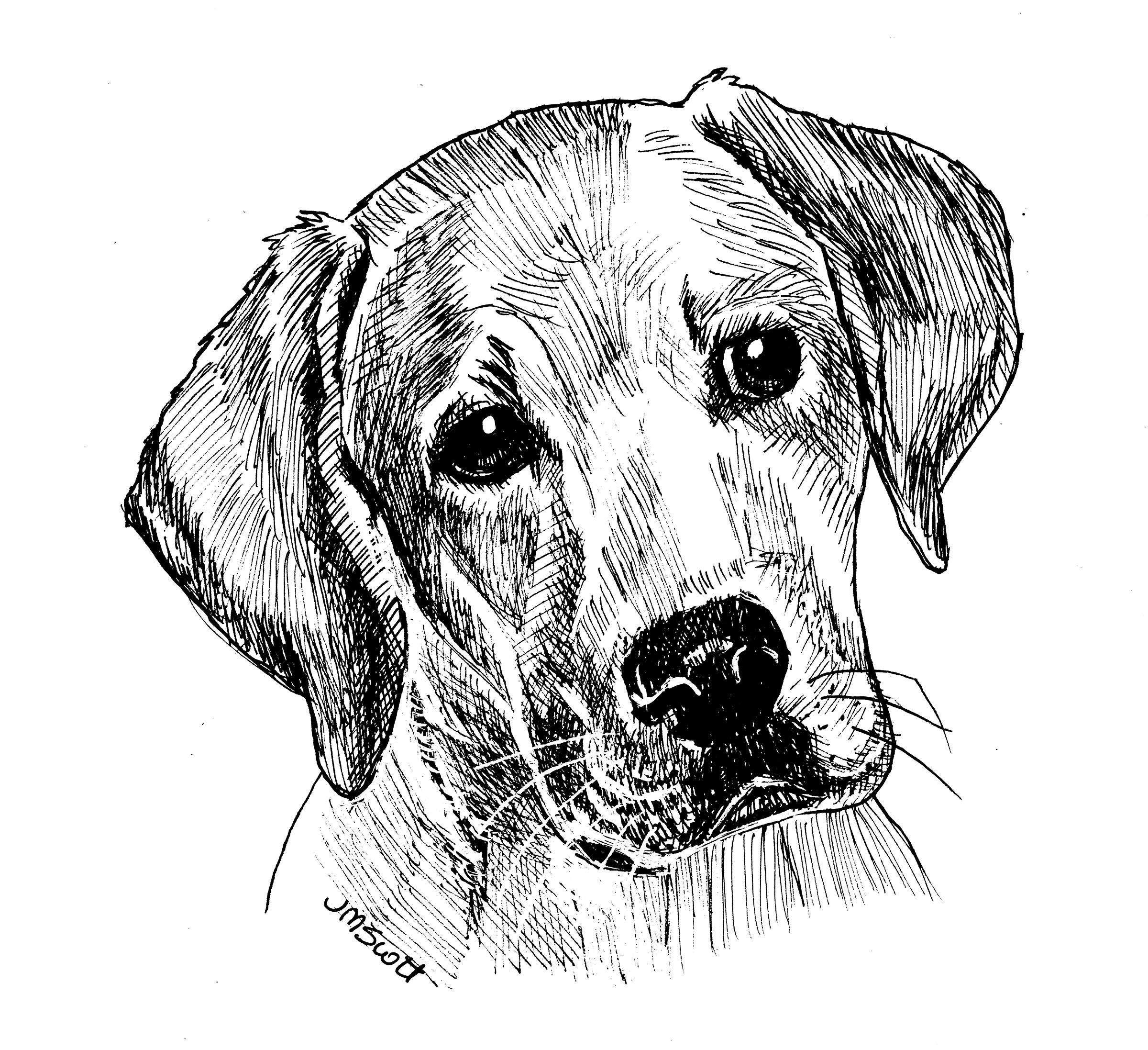 Custom Ink Portraits - Etsy