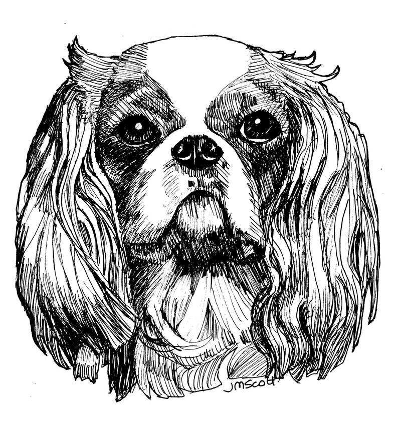 Custom Ink Portraits - Etsy