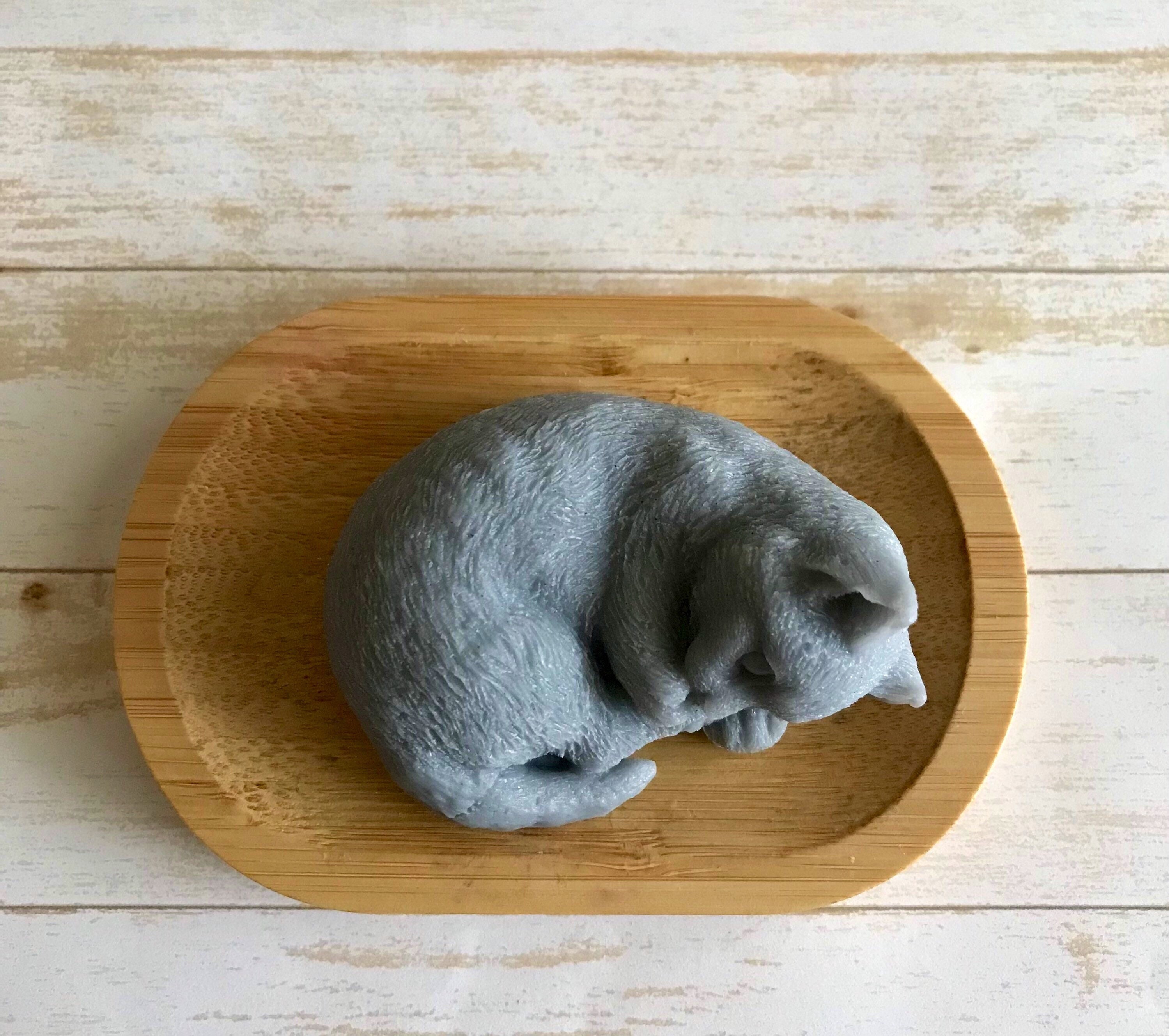 Cat Soap, Kitty Soap, Veterinary Gift, Animal Fundraiser, Cat Lovers ...