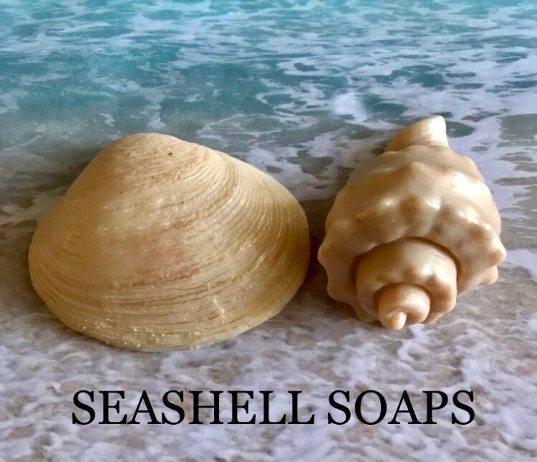 Seashell Soap Set of 2, Seaside Scented, Beach House Decor - Etsy