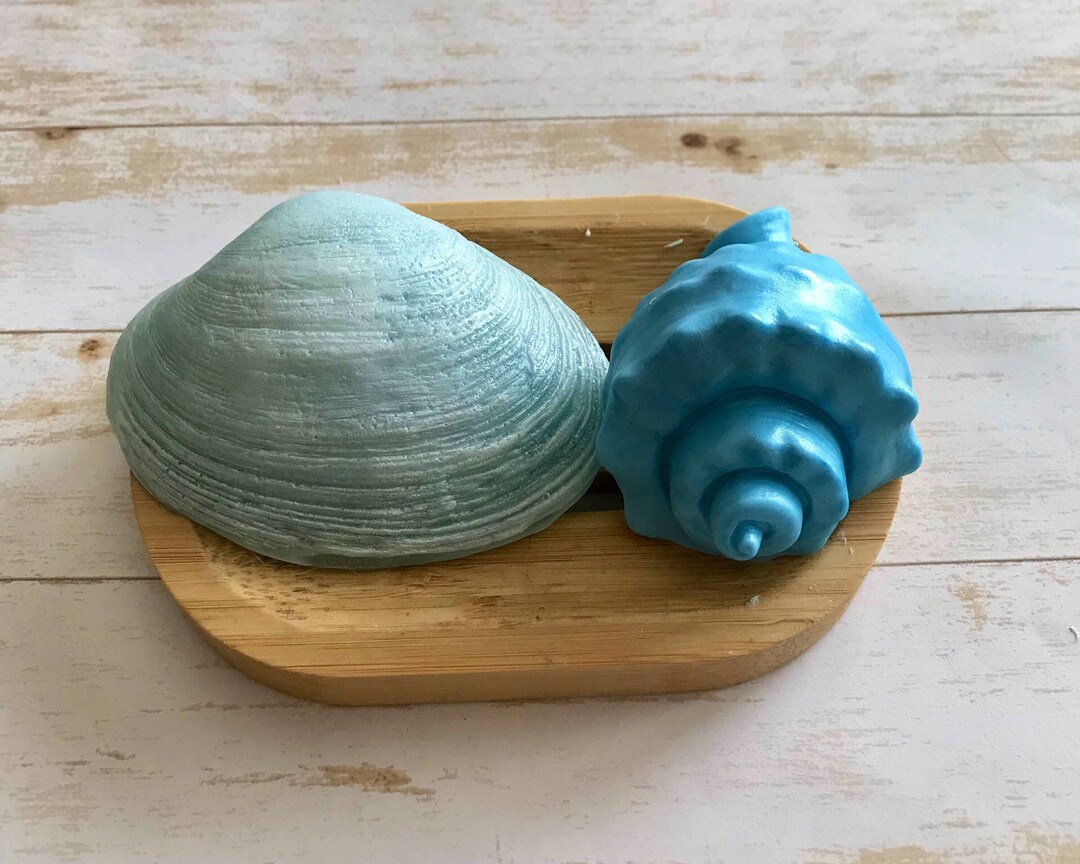 Shell Soaps , Beach Soap , Beach House, Summer, Pool , Lake House ...