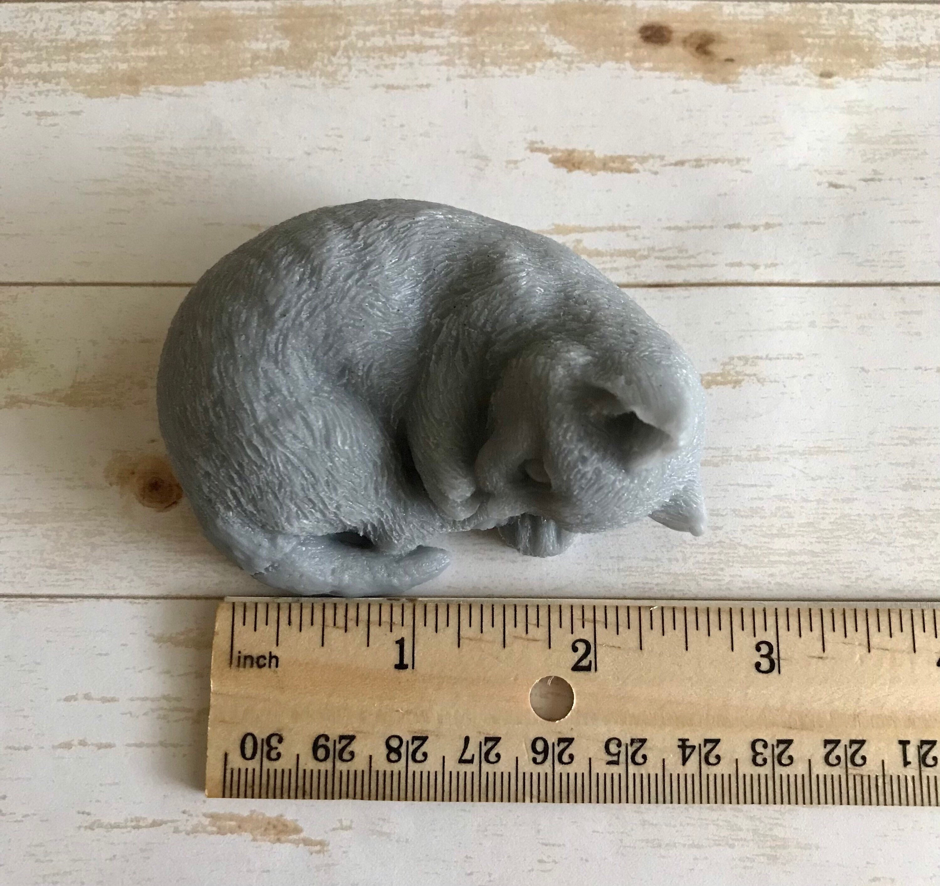 Cat Soap, Kitty Soap, Veterinary Gift, Animal Fundraiser, Cat Lovers ...