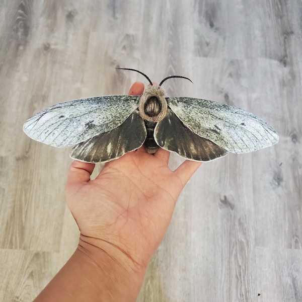 Moth Sculpture - Etsy
