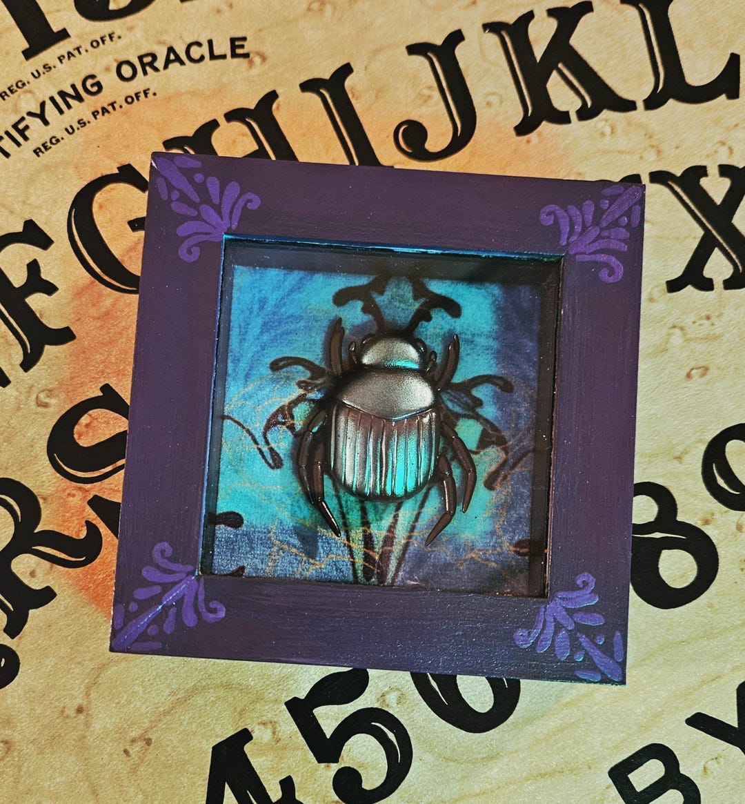 Faux Taxidermy Beetle Frame - Etsy