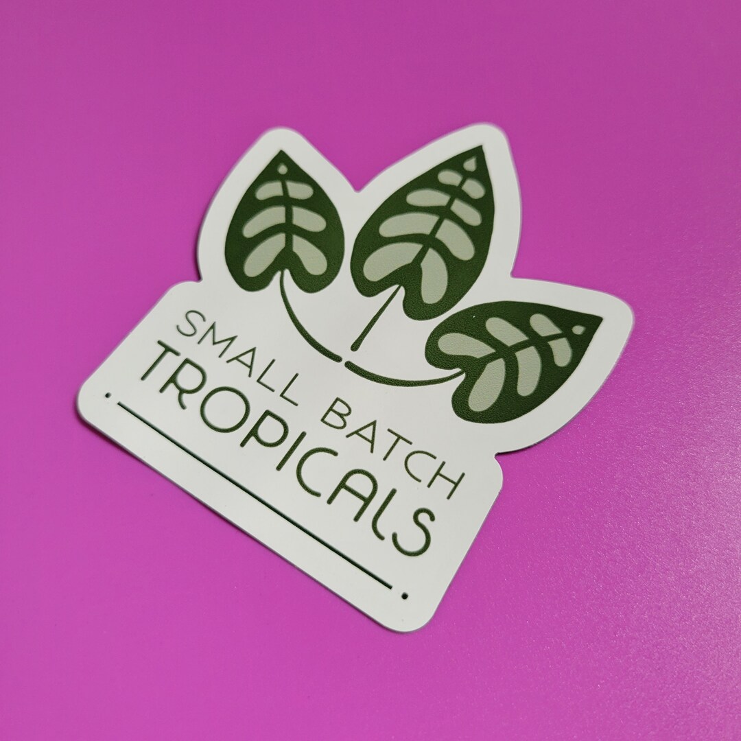 Small Batch Tropicals 2.5" Magnet - Etsy