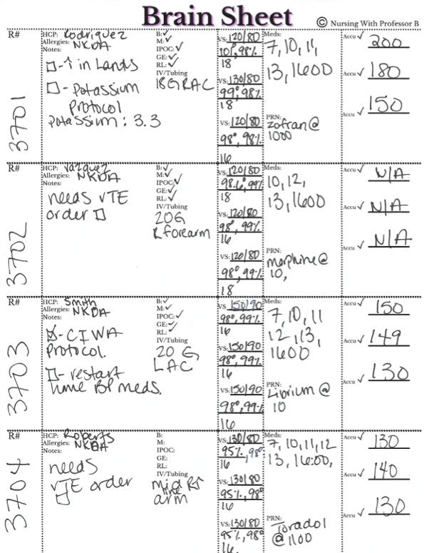 4 Patients Med/surg Med/tele Brain Sheet - Etsy