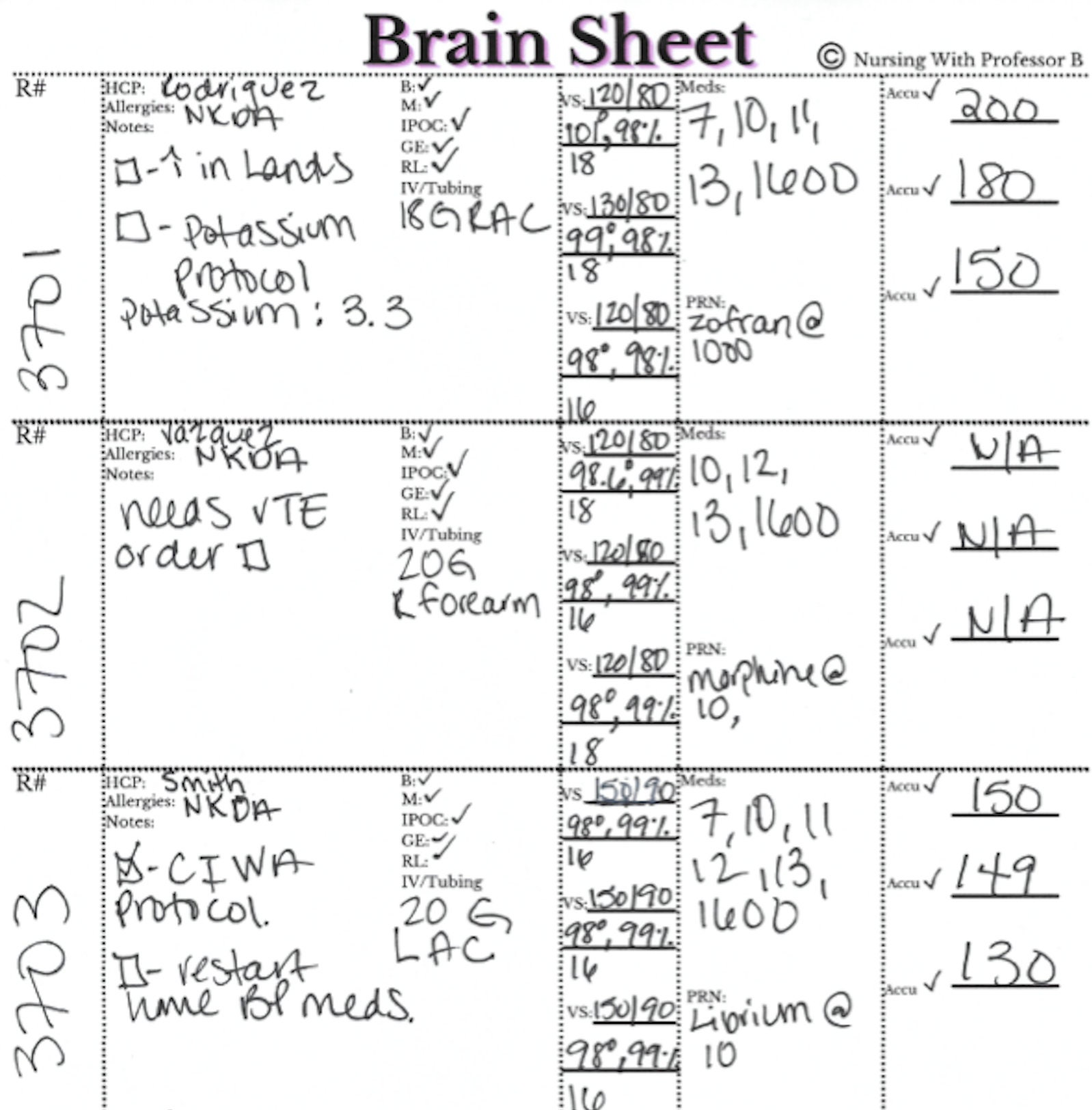 7 Patients Med/surg Med/tele Brain Sheet - Etsy